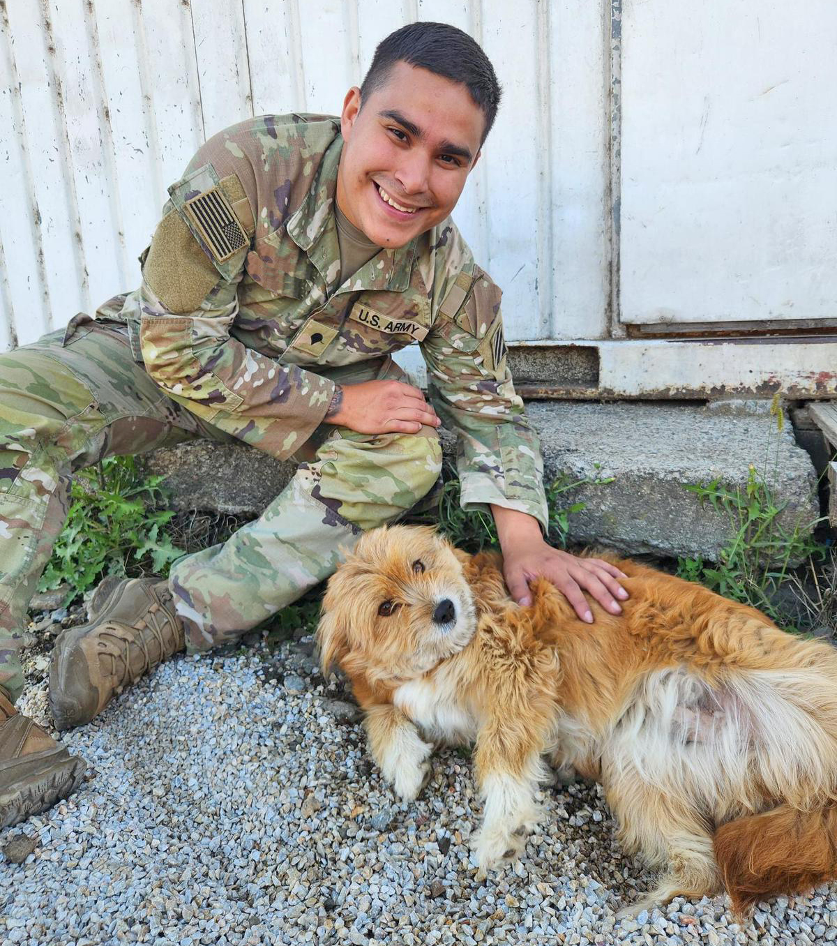 Paws of War Launches Mission of Hope to Help Heartbroken Soldier Bring ...