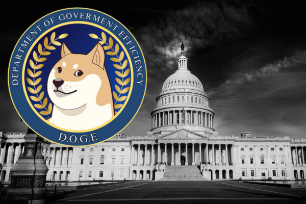 DOGE Leaders Elon Musk and Vivek Ramaswamy Address Congress, Launch ...