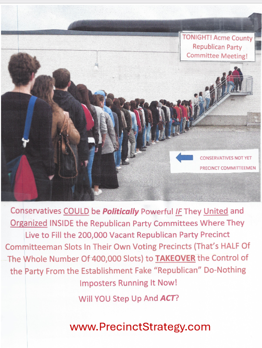 Precinct Strategy “Here’s what we need to DO about it.” Dan Schultz ...