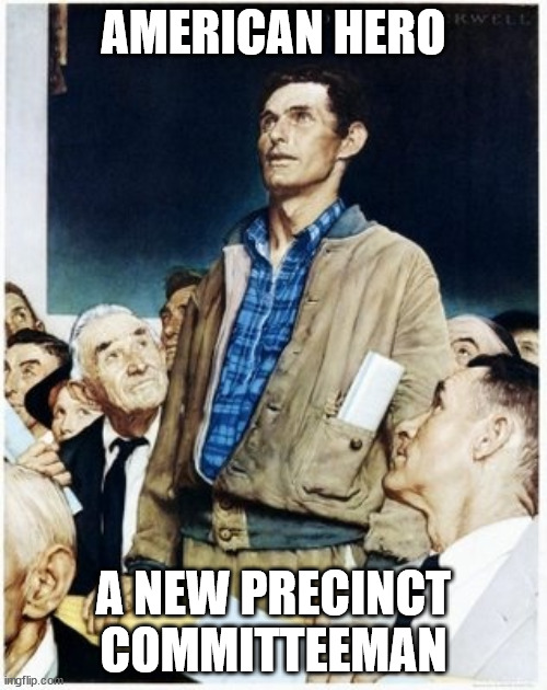 Precinct Strategy The 100,000 conservative American heroes. Dan Schultz ...