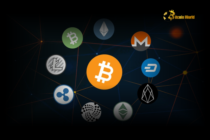 From ups and downs to record highs: The secret of Bitcoin price – [your ...