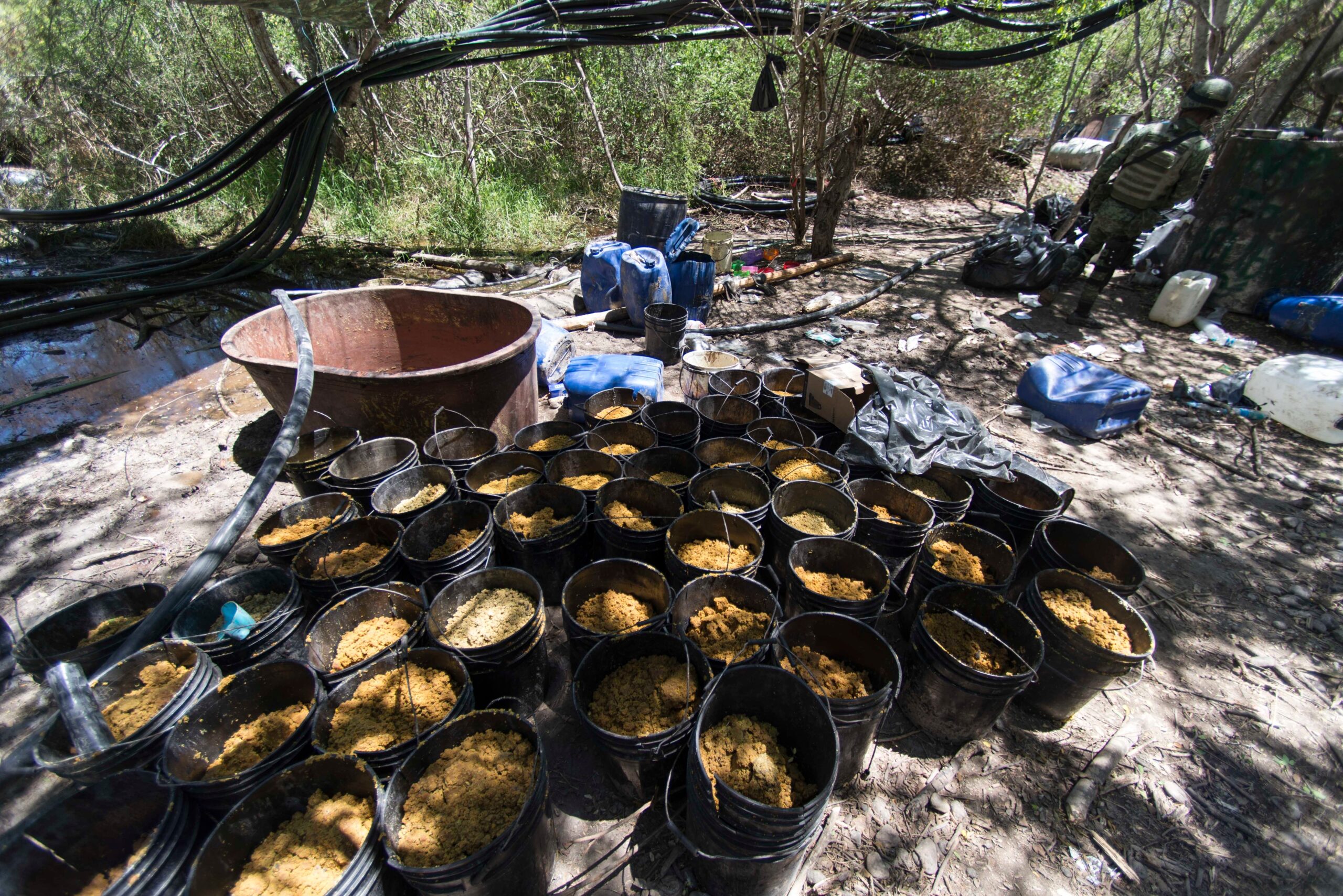 U.S. Officially Designates Mexican Cartels and Transnational Gangs as ...