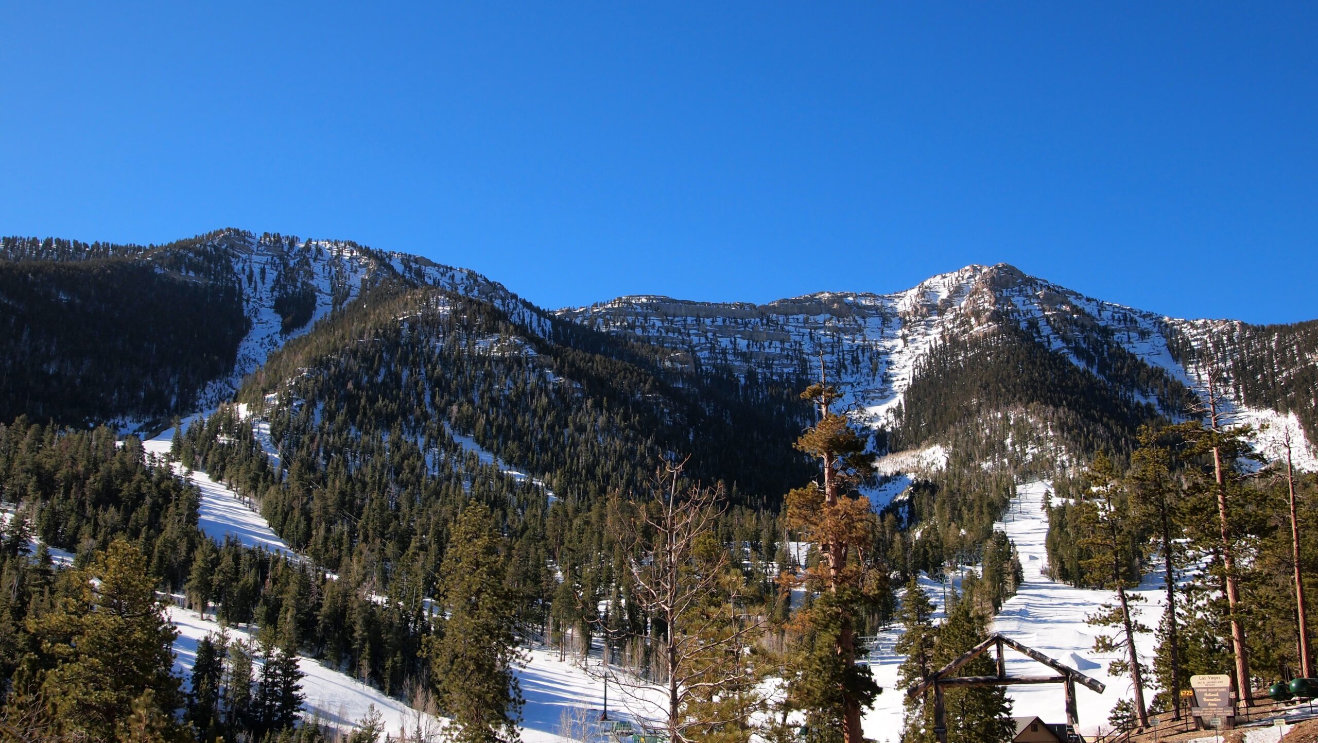 ‘Miracle March’ Dumps 50 Inches of Snow on Lee Canyon – [your]NEWS