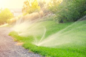 Henderson Launches Landscape Rebate Program to Encourage Water Conservation – [your]NEWS