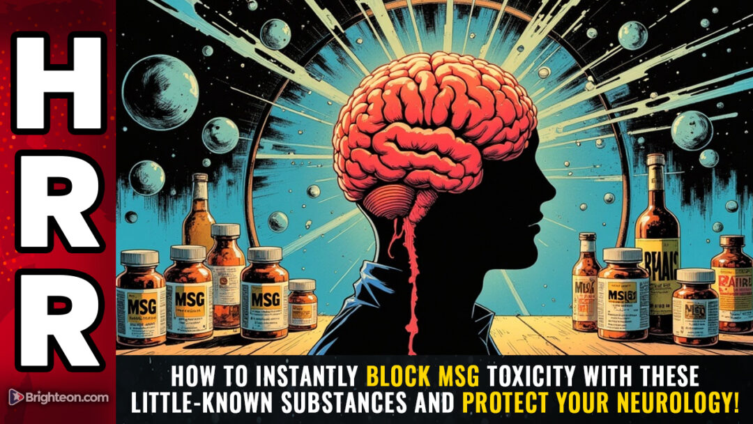 How to instantly BLOCK MSG TOXICITY with these little-known substances ...