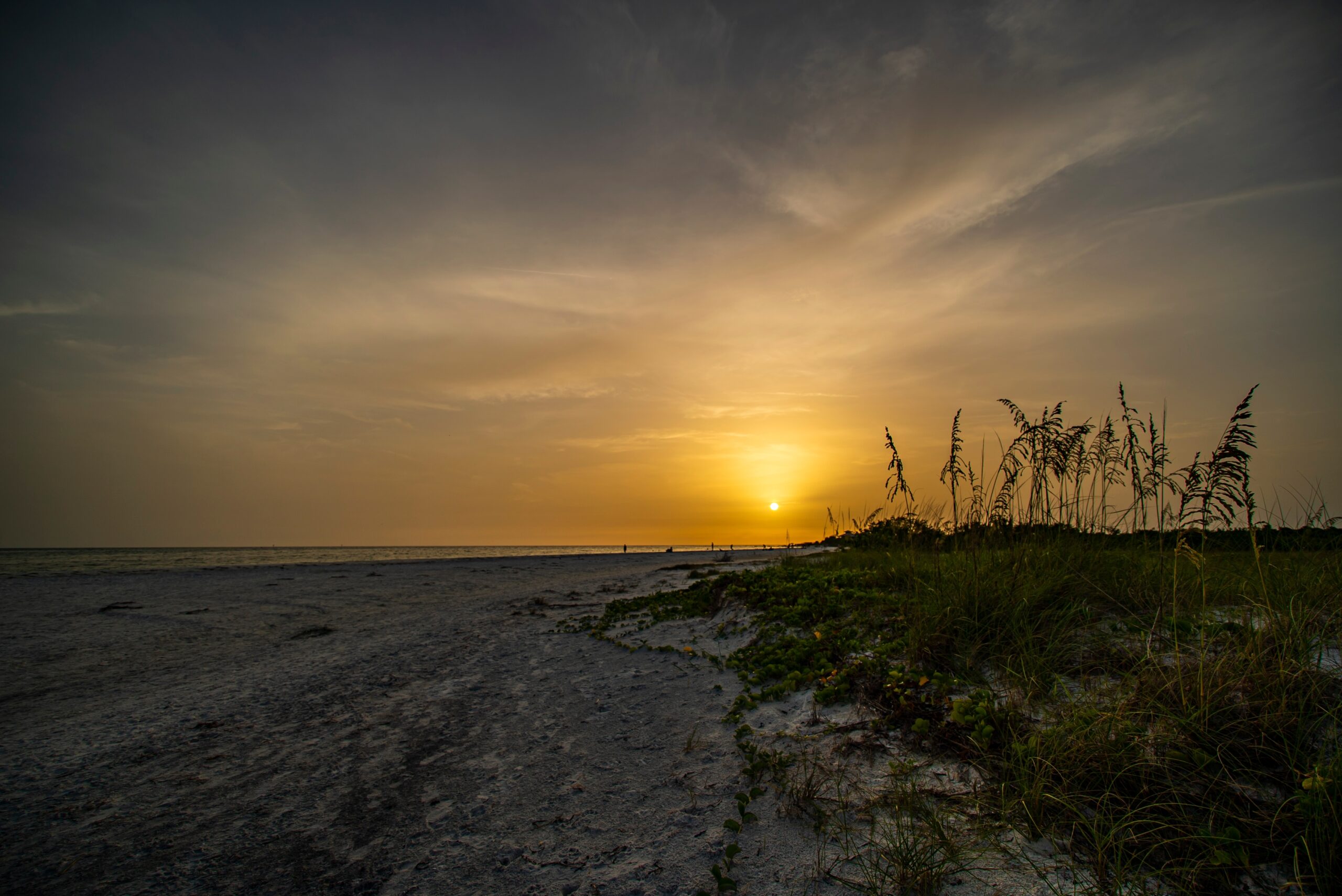 Massive Saharan Dust Cloud Heads for Florida, Prompting Health Alerts ...