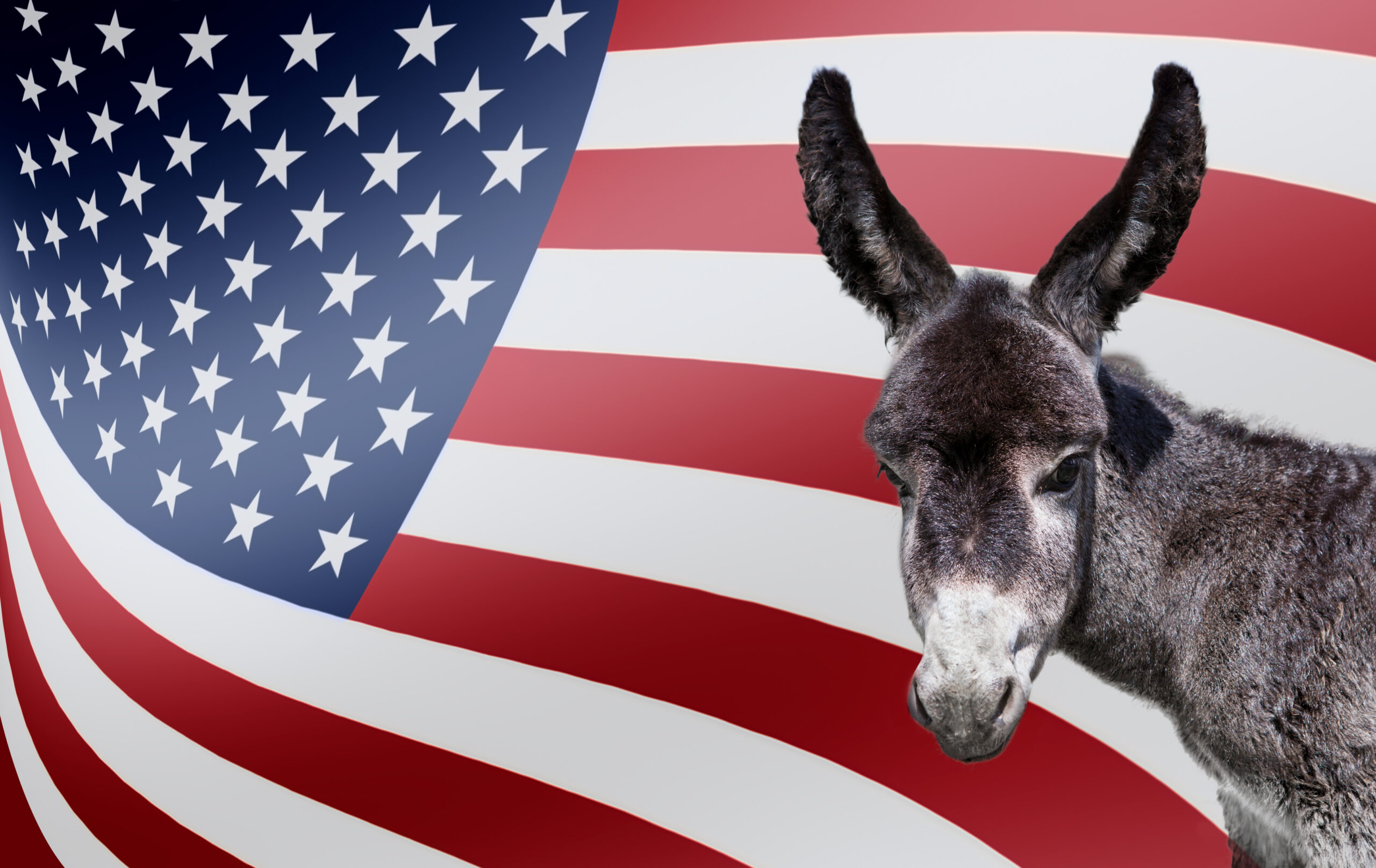 Democratic Party Support Drops Further as GOP Gains Ground, Poll Shows ...