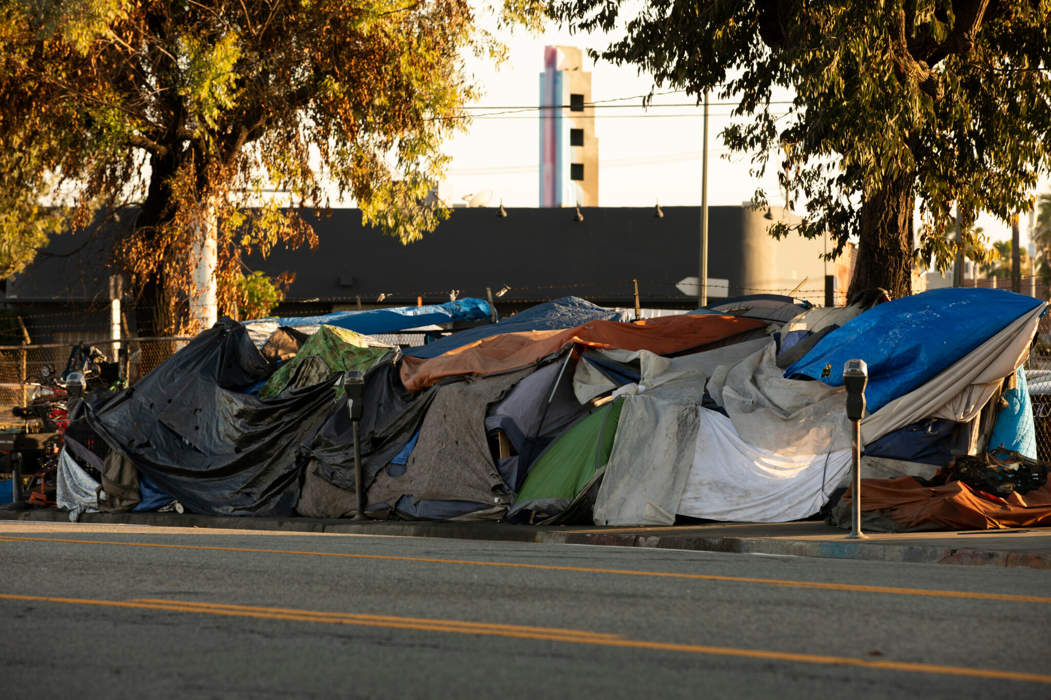 U.S. Homeless Count Proceeds Without National Data as HUD Delays ...