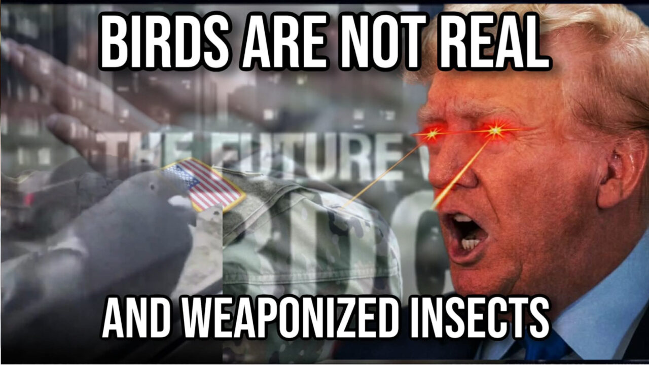 Birds Are Not Real and Weaponized Insects – [your]NEWS