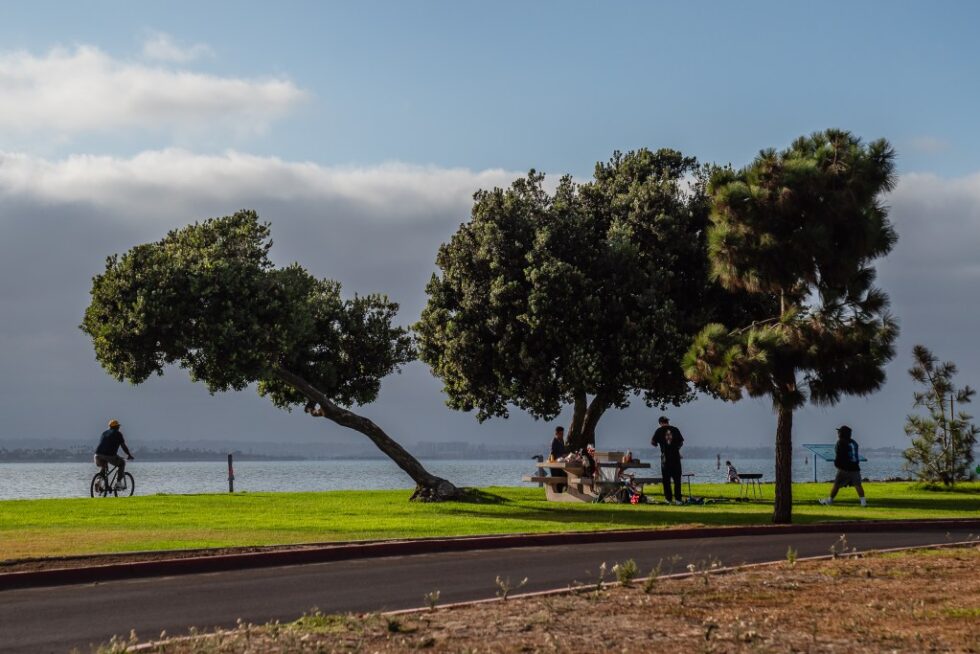 South County Report: Rohr Legacy Keeps on Giving – [your]NEWS