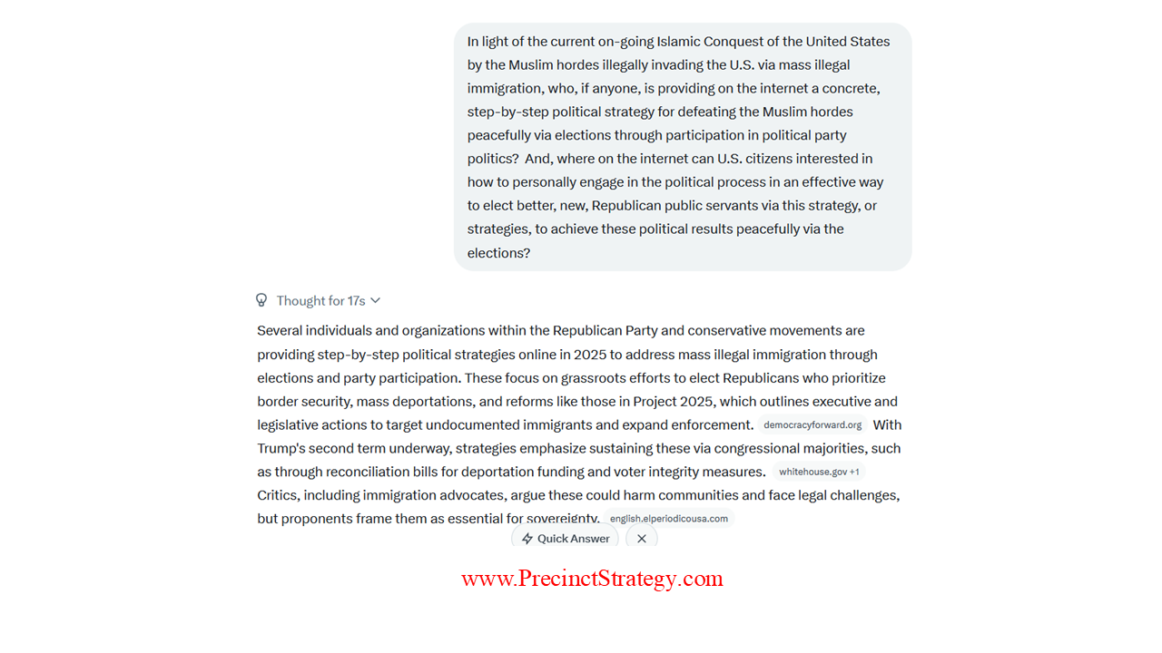 Precinct Strategy Who provides a political strategy? Dan Schultz ...
