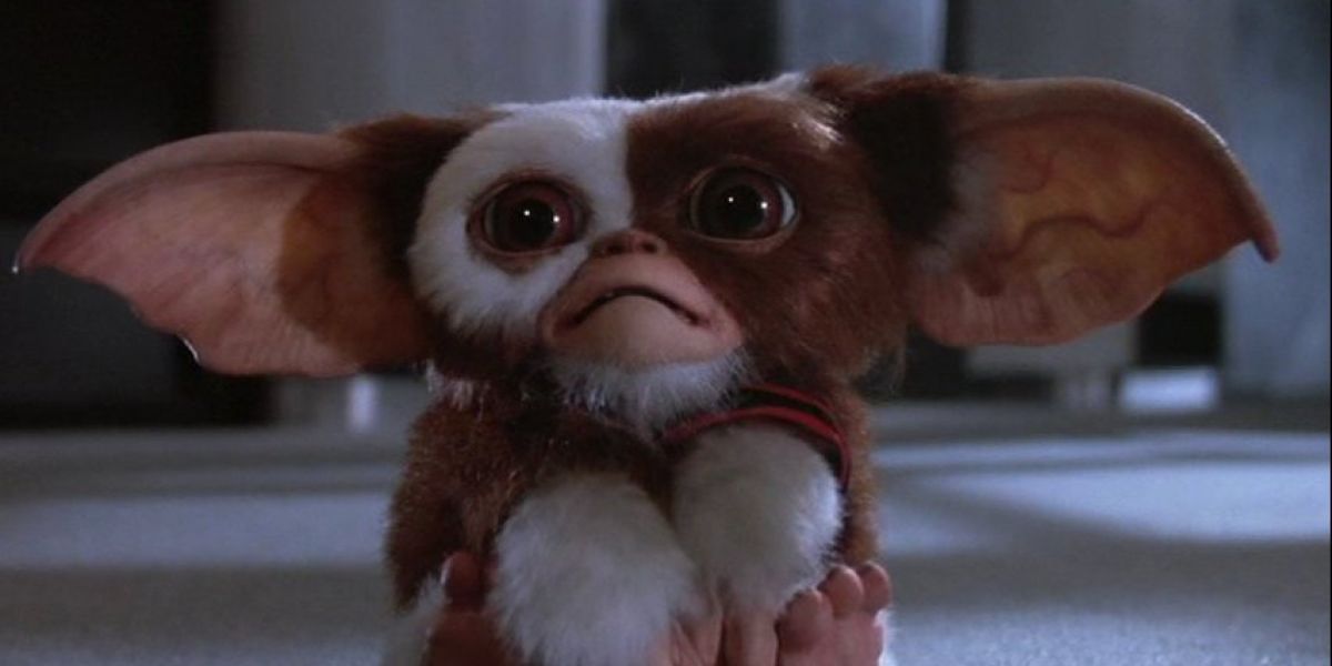 Gremlins The 80s Film That Broke All the Rules Is Getting a Sequel ...