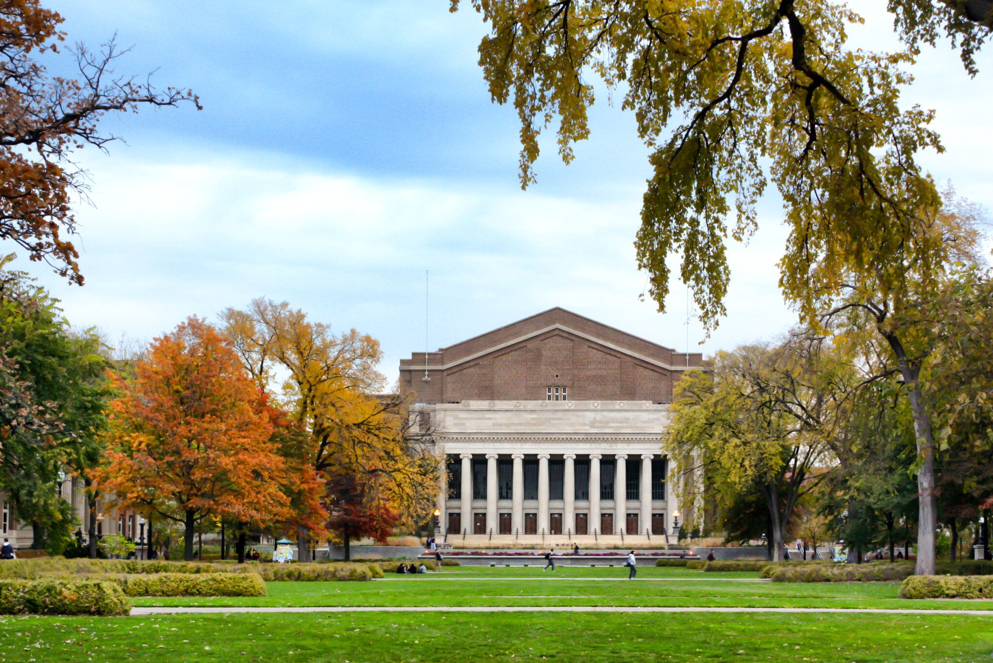 University of Minnesota Website Labels ‘Whiteness’ a Pandemic, Calls ...