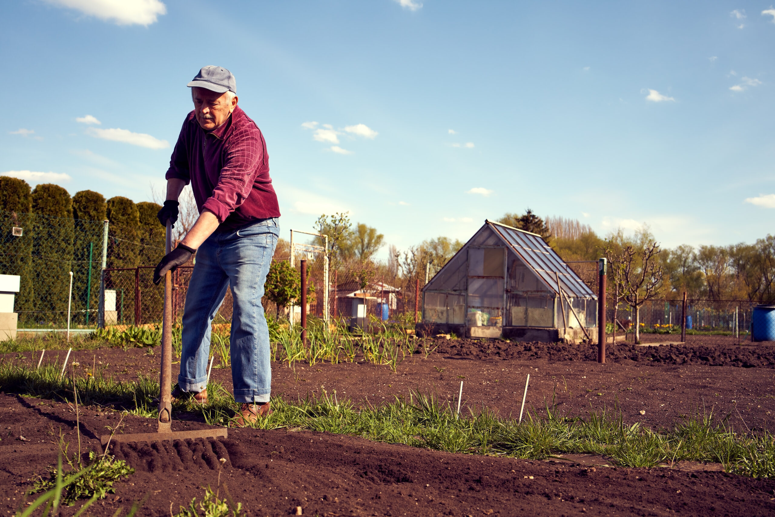 Relearning the Lost Art of Self-Sufficiency in a Fragile Modern World ...