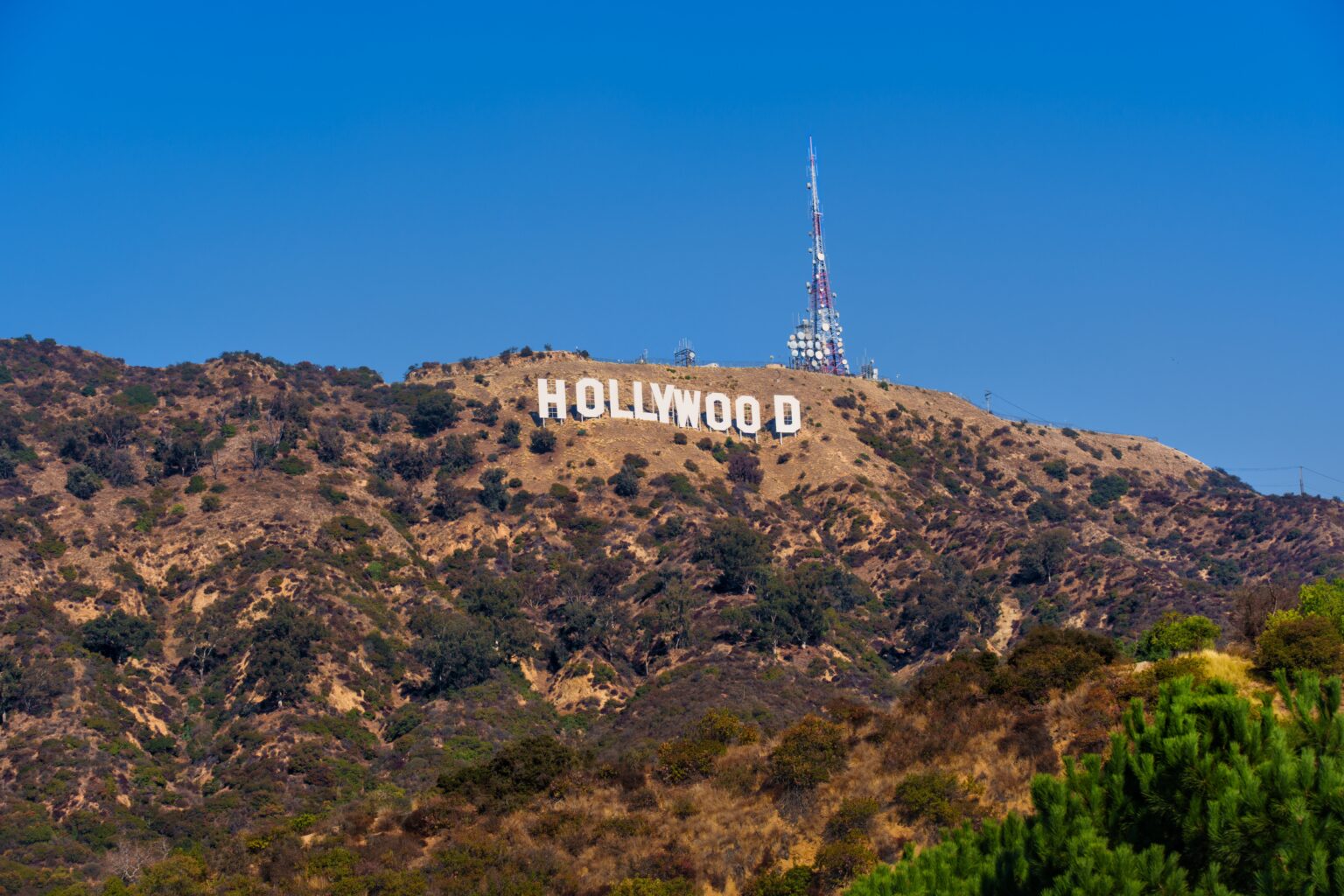 Hollywood’s Box Office Freefall Deepens as Audiences Turn Away – [your]NEWS