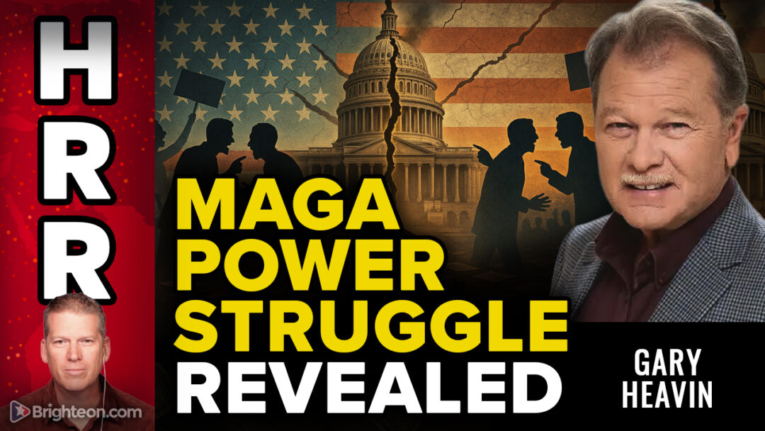Inside the MAGA Rift: Gary Heavin Breaks Down the Real Power Struggle ...