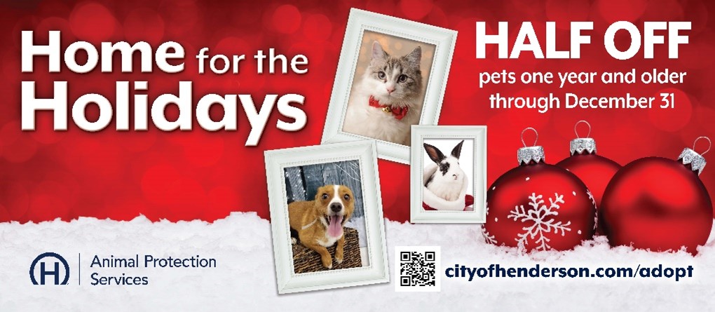 Henderson Animal Protection Services Launches ‘Home for the Holidays ...