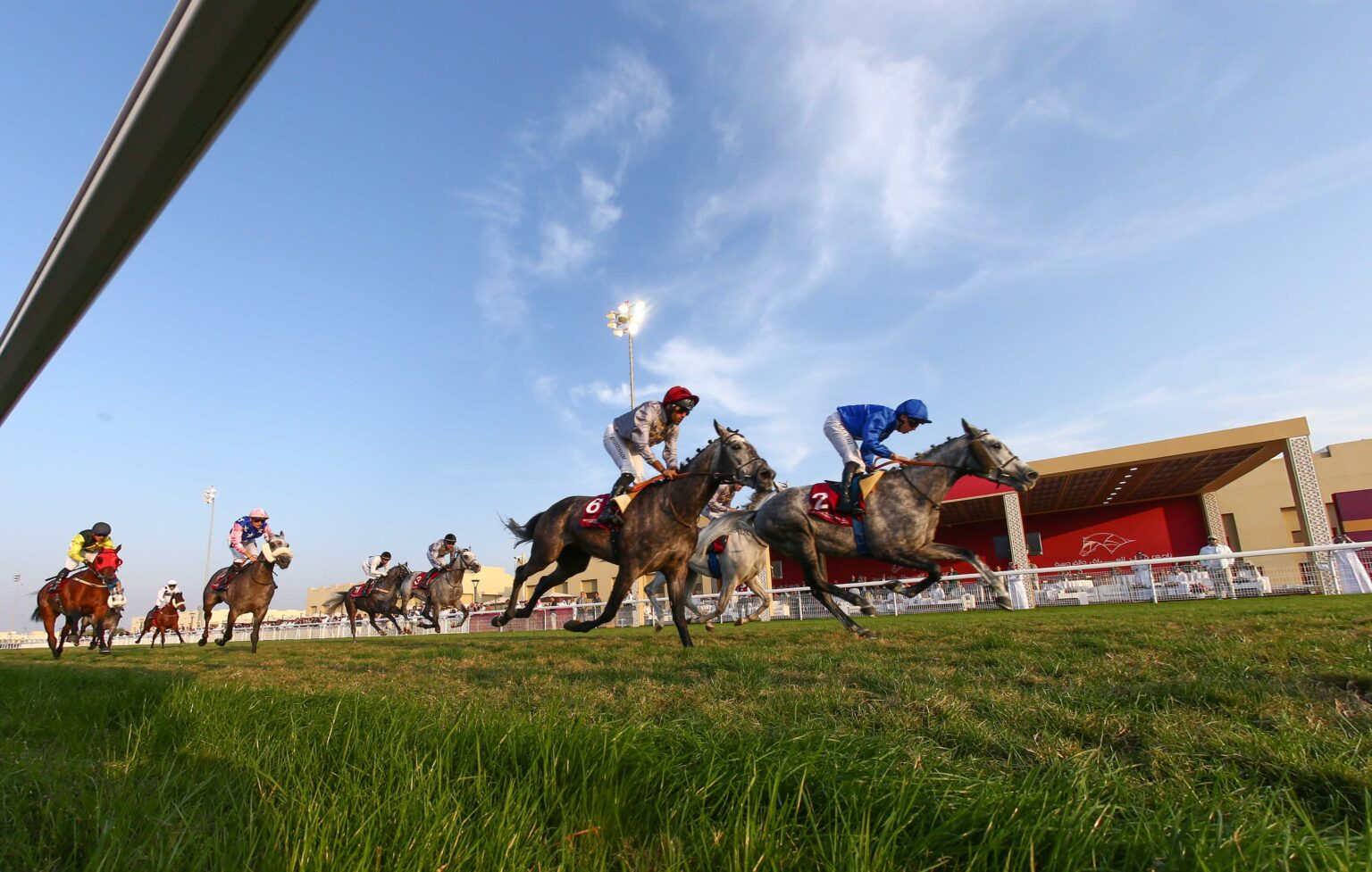 Qatar International Derby on Saturday at the Al Rayyan Racecourse ...