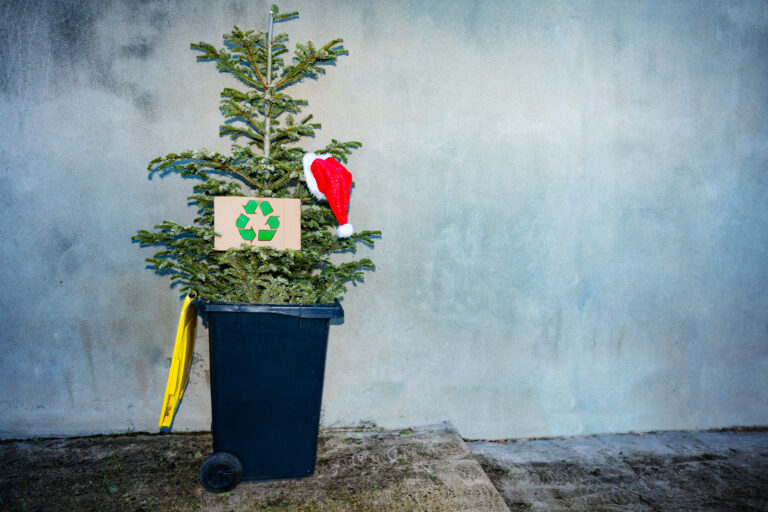 Las Vegas Valley Launches 2025 Christmas Tree Recycling Program: 30 ...