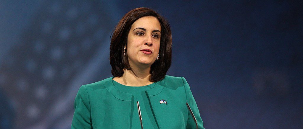 New York Judge Signs Off On Democrat Effort To Eliminate GOP House Seat ...