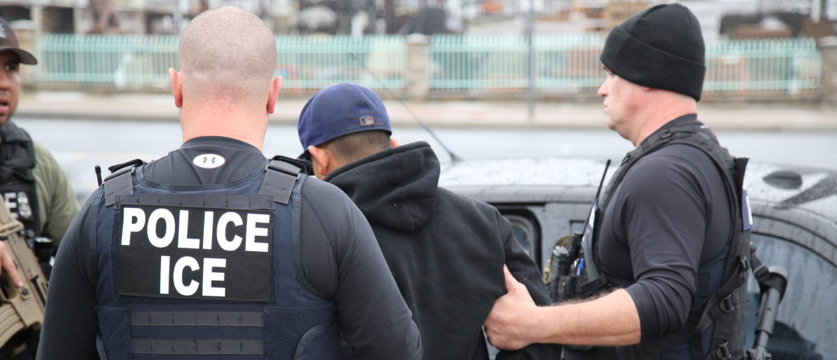 Americans Don’t Want To See Whistle-Clad Libs Blocking ICE Agents ...