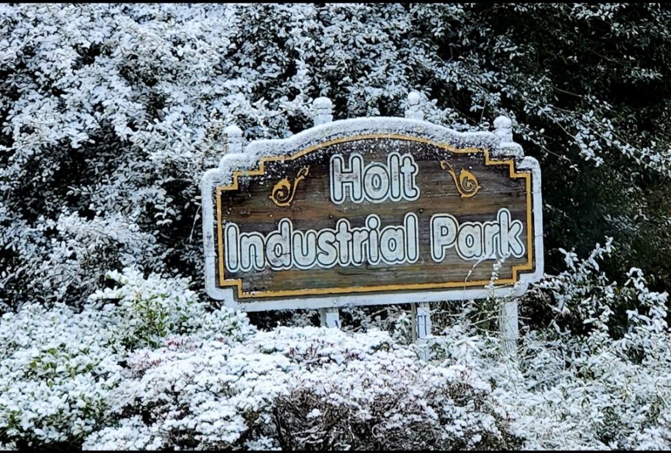 Florida Sees Rare Snowfall Again as Winter Weather Sweeps From the ...