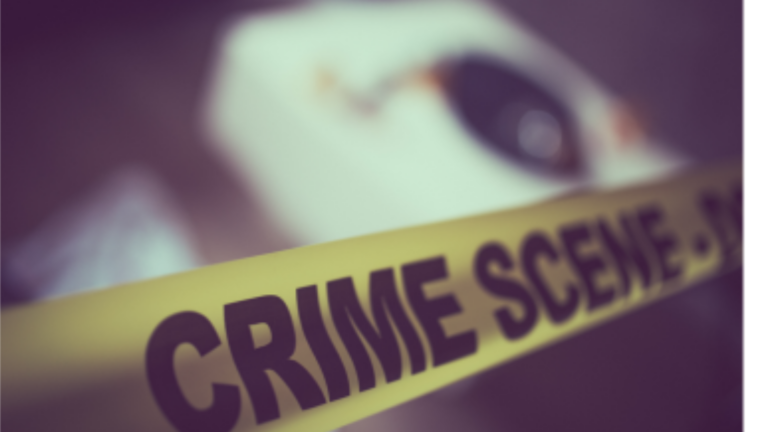 Old Dominion University President Stokes Flames of Violence Against Law ...