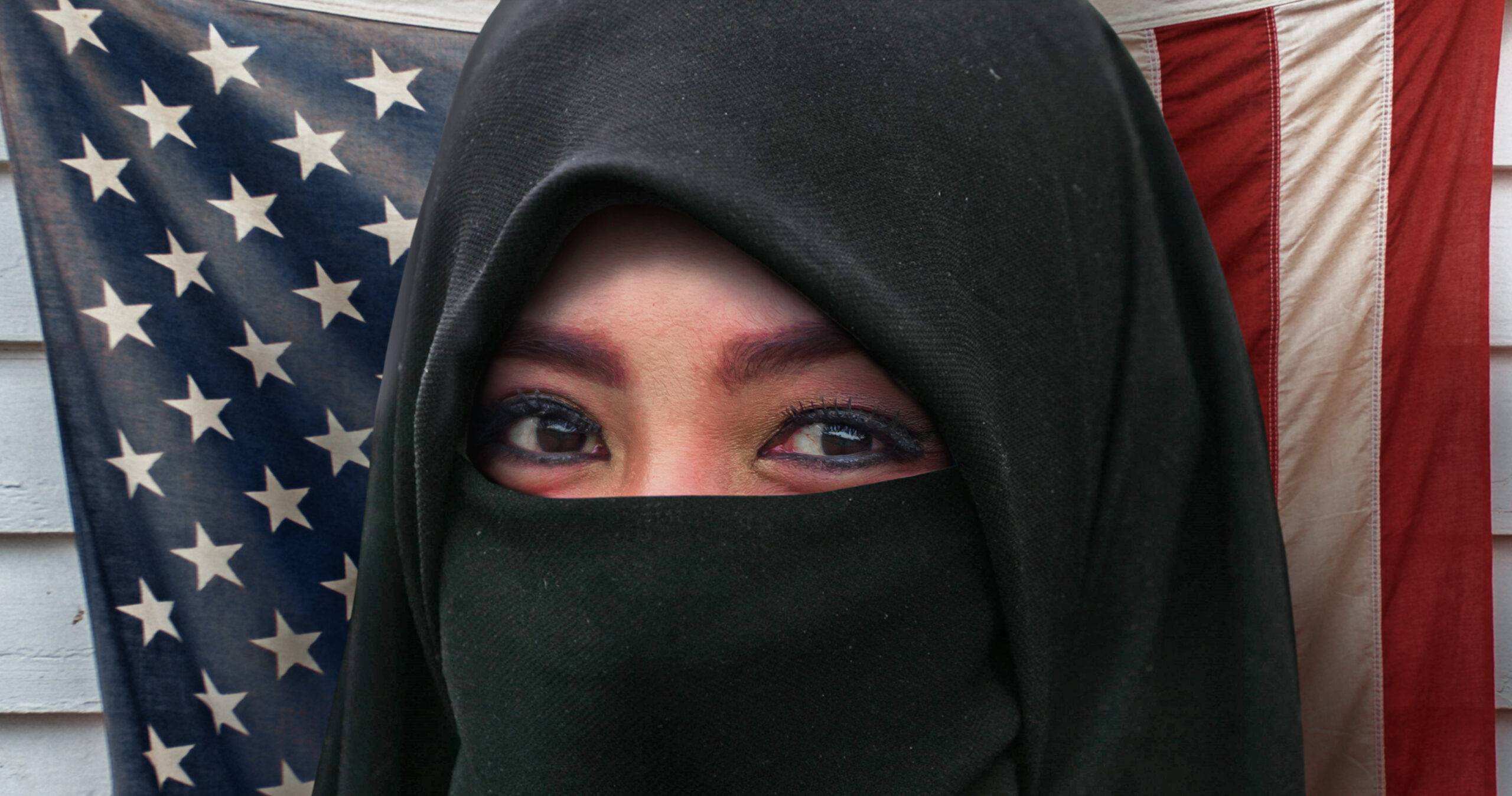 Immigration as Strategy: Schweizer Details Islamist Doctrine Treating ...