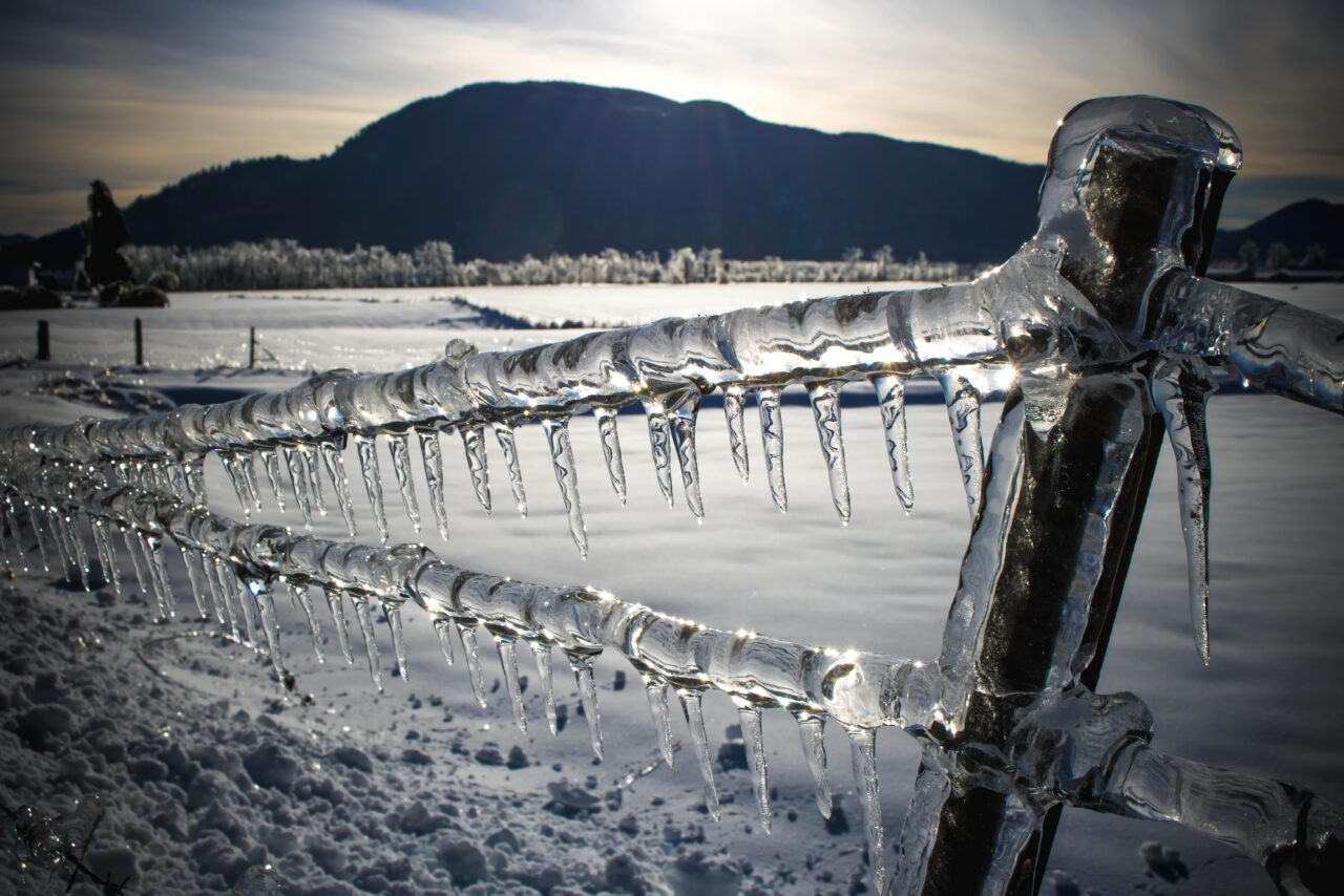 Southern States Face Escalating Crisis as Ice Storms Leave Communities ...