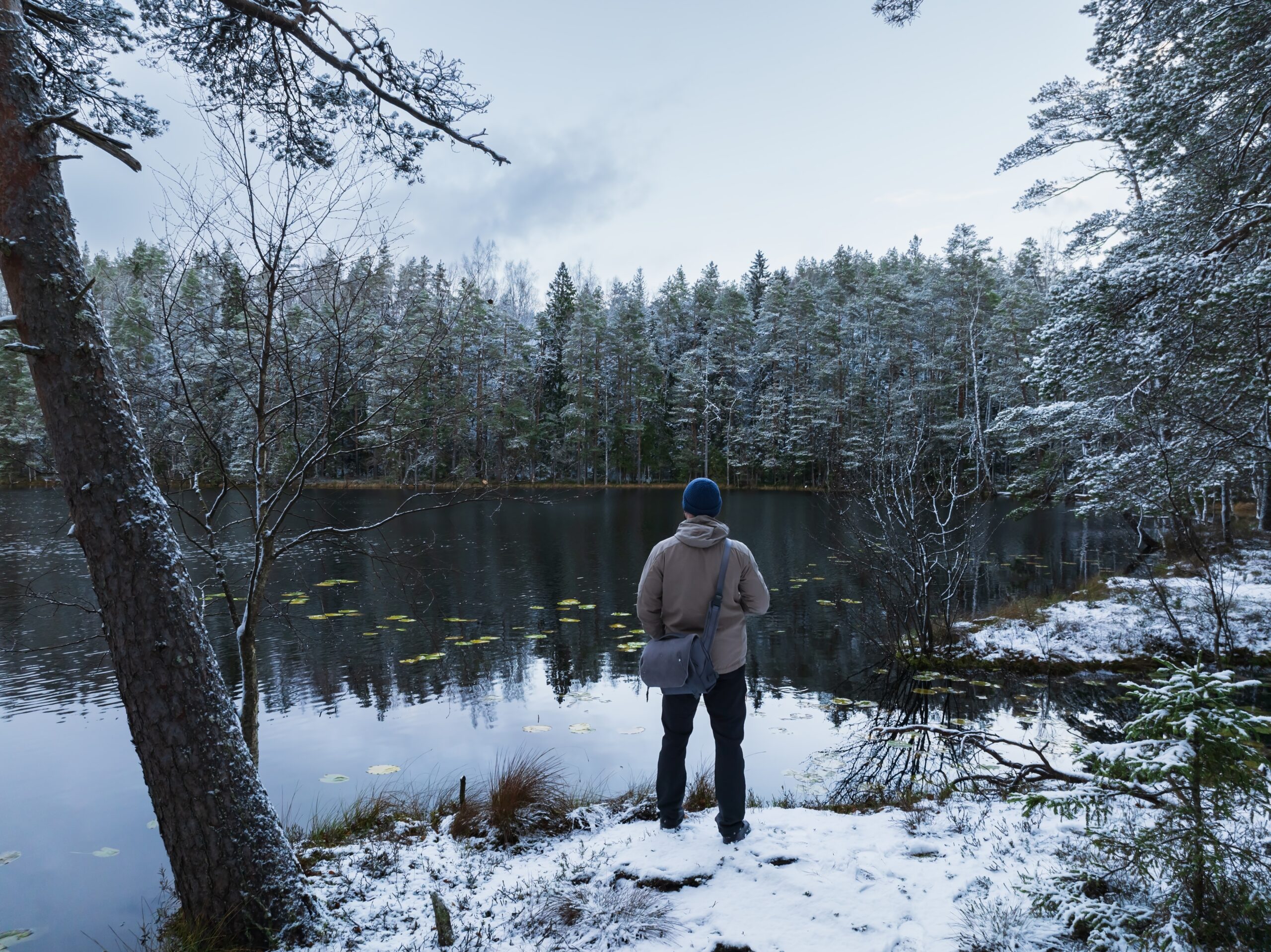 Cold-Season Foraging: Finding Food When the Landscape Freezes – [your]NEWS
