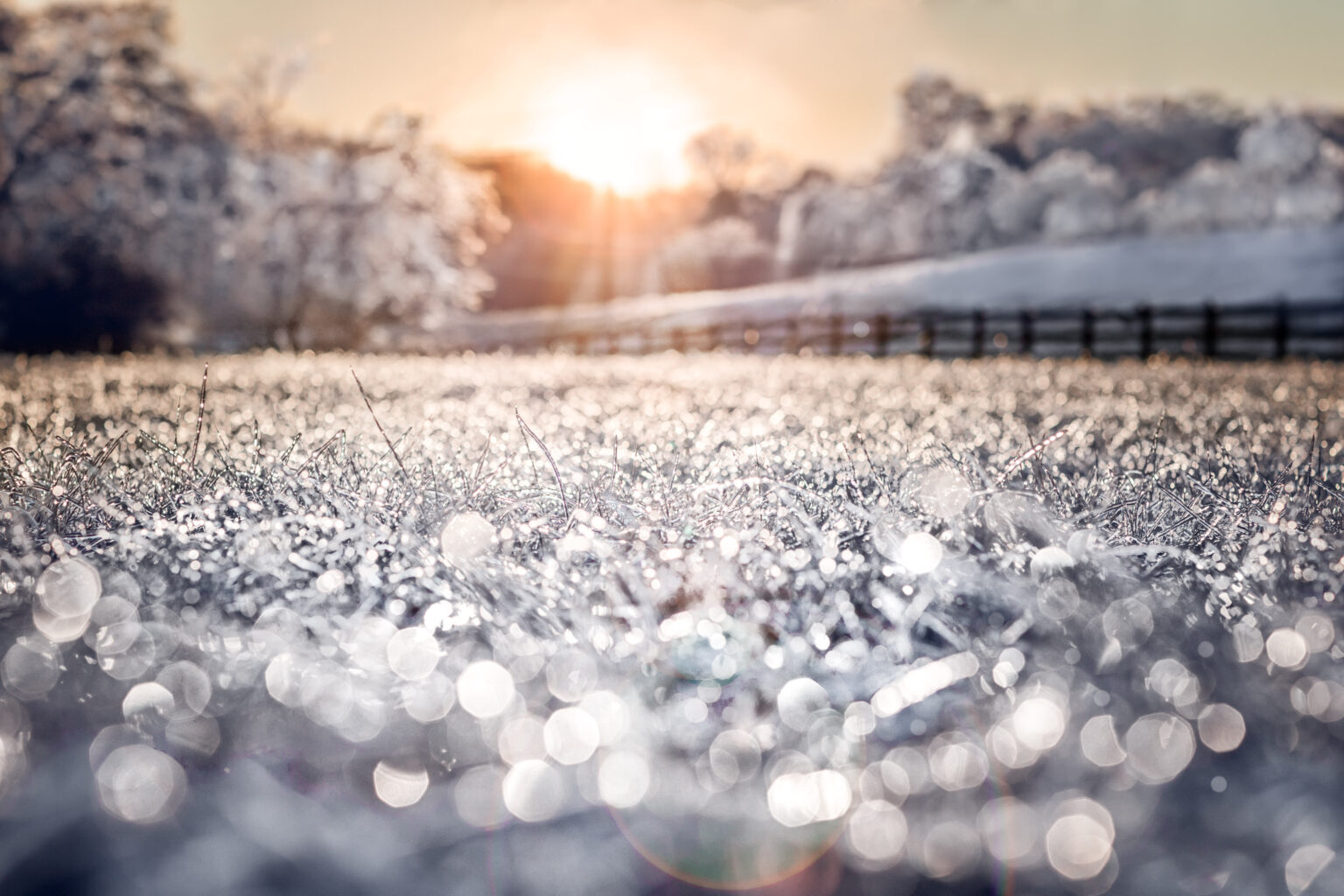 Extreme Cold and Ice Leave Nearly 800,000 Without Power as Winter Storm ...