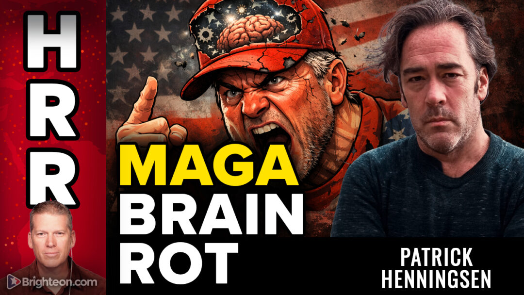 MAGA Brain Rot: What Happened to the Movement That Abandoned Its Own ...