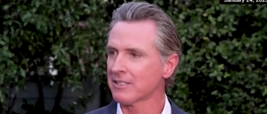 Gavin Newsom Gets Cooked In Comments After Accusing Ted Cruz Of Making ...