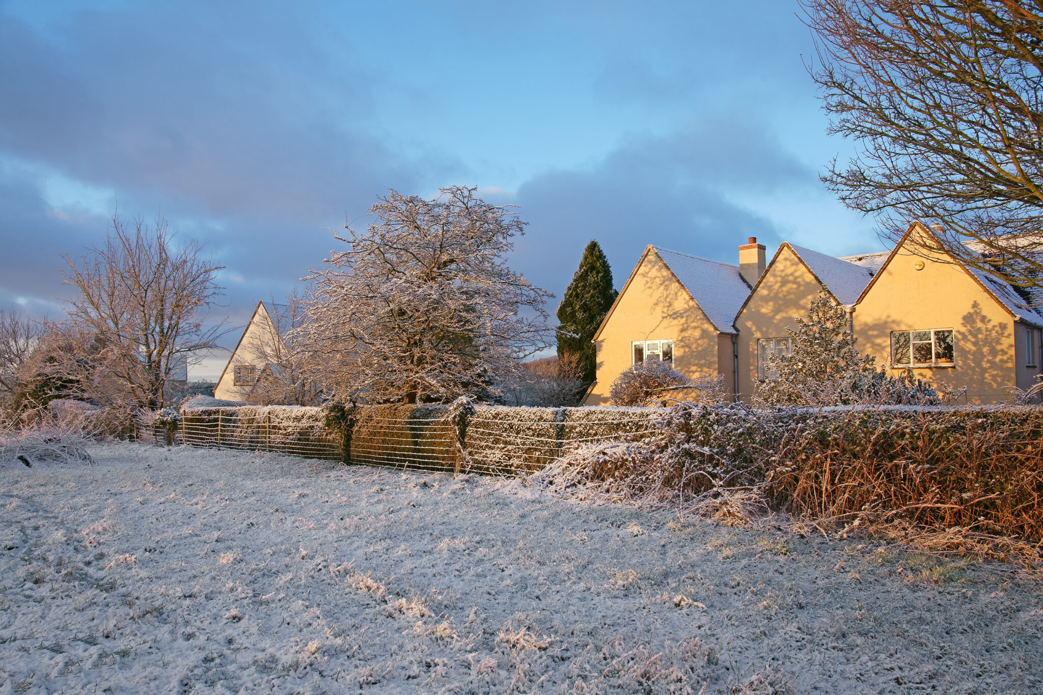 Government-Backed Countryside Plans Question Relevance of England’s ...