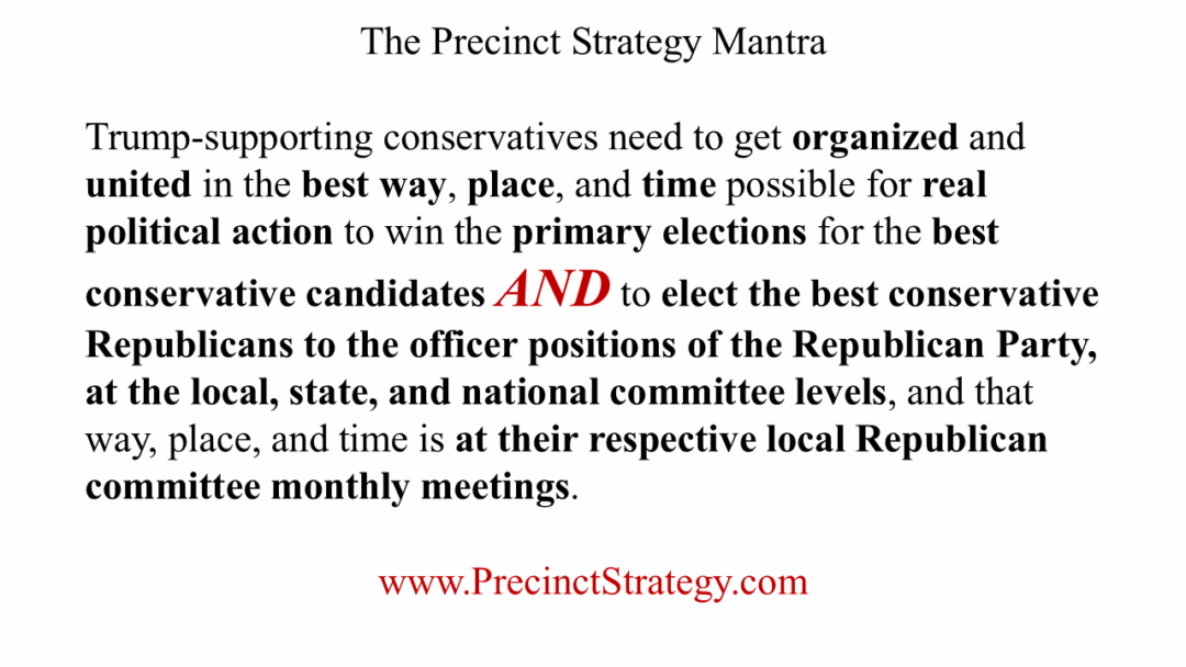 Precinct Strategy Memorial Day 2026 and your rights. Dan Schultz May 25 ...