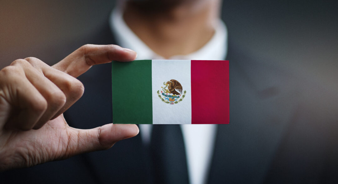 Mexico Expands Biometric ID System as Mobile Phone Access Tied to ...