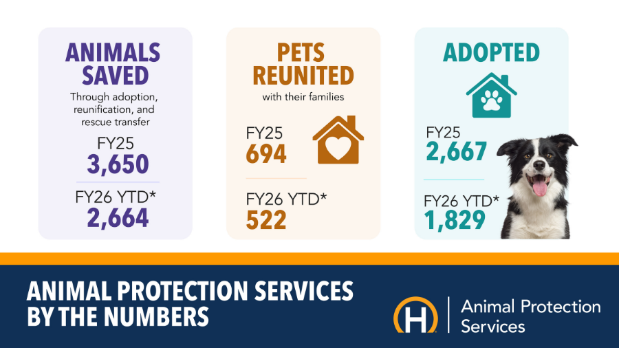 Henderson Animal Protection Services Reports Court Win, Rescue ...