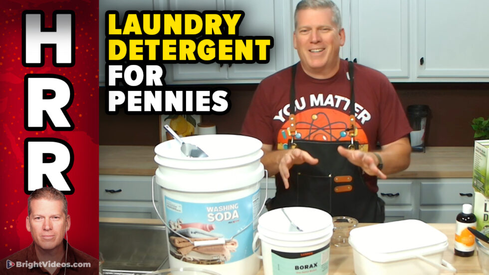 How to Make Your Own Low-Cost, Health-Protecting Laundry Detergent for ...