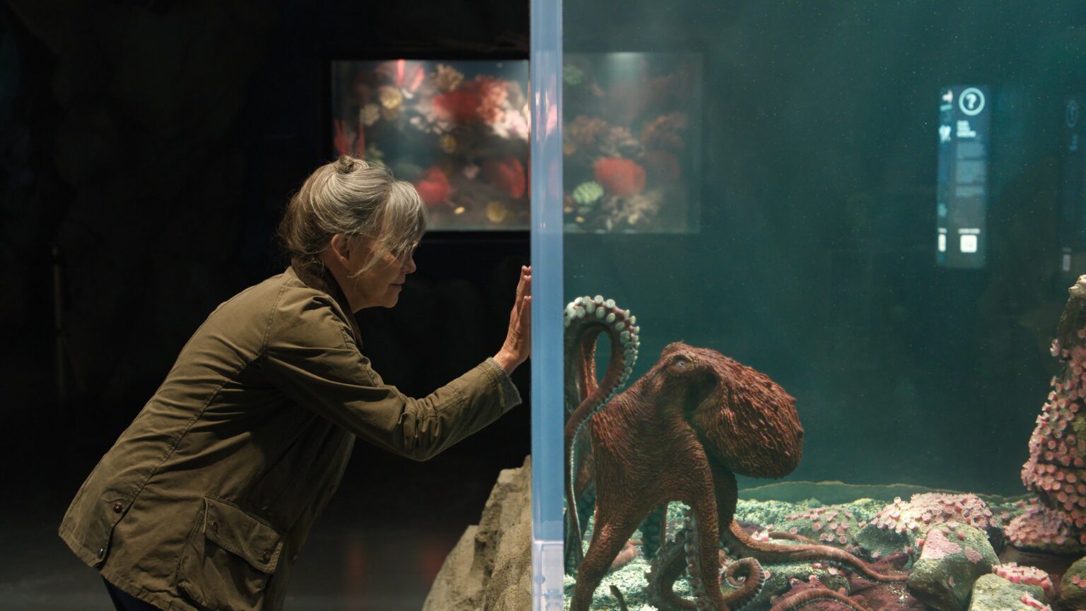 Netflix’s Remarkably Bright Creatures brings the heart and emotion ...