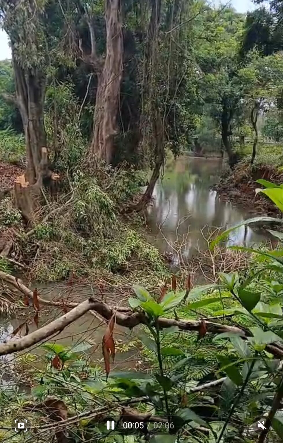 SHOCKER: NO BIODIVERSITY COMMITTEE IN CUNCOLIM – [your]NEWS