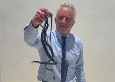 WATCH: RFK Jr. Wrangles and Removes Snakes From Dr. Oz’s Patio – [your]NEWS