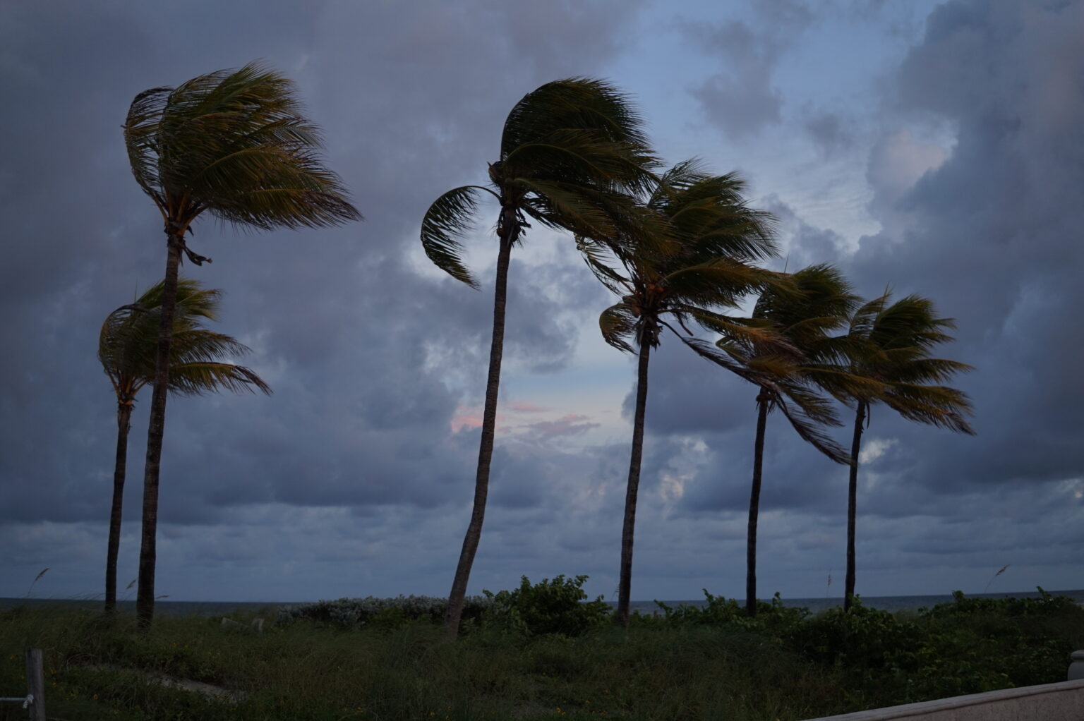 NOAA Forecasts Quieter Atlantic Hurricane Season as Strong El Niño ...