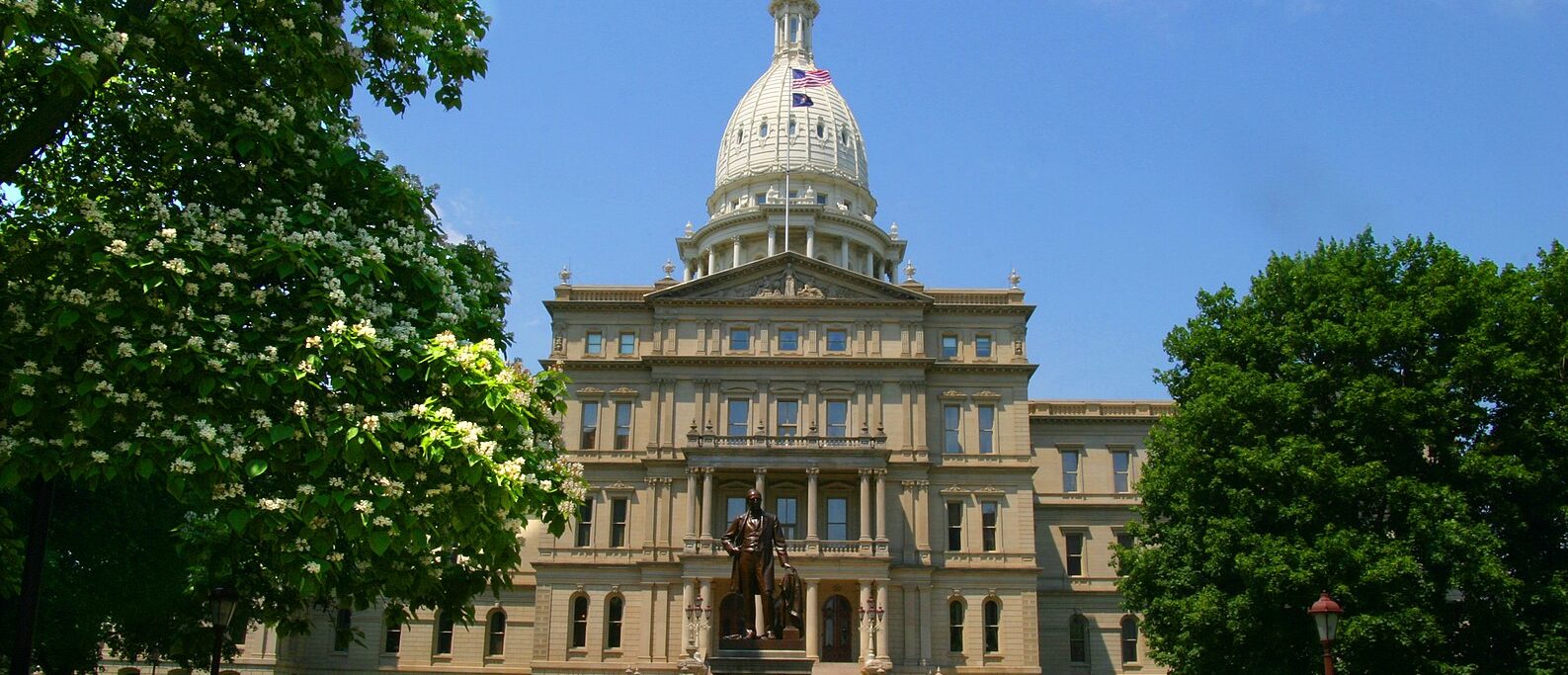 Second Amendment Groups Target Michigan’s Decades-Long ‘Permission Slip ...