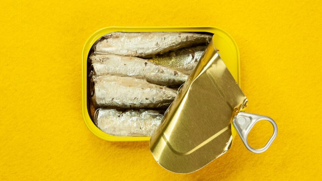 Why Portuguese Canned Fish is the Ultimate Travel Souvenir – [your]NEWS