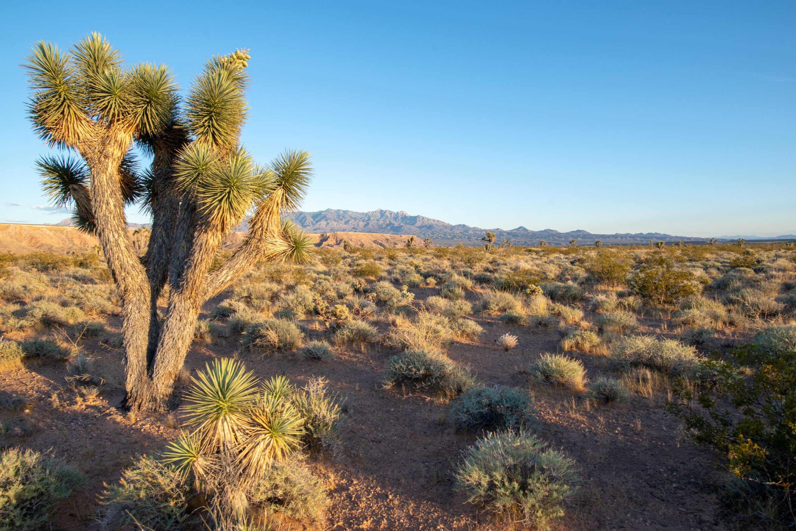 Nevada Federal Land Map Draws Pushback From Conservation Groups Over ...