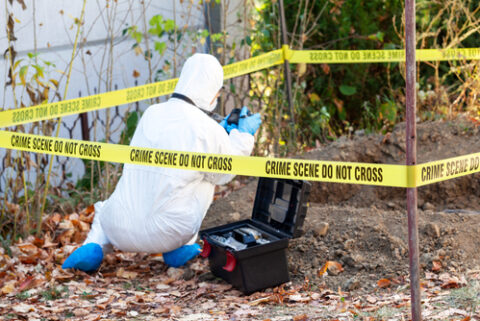 Human Remains Discovered in Poland Spark National Shock – [your]NEWS