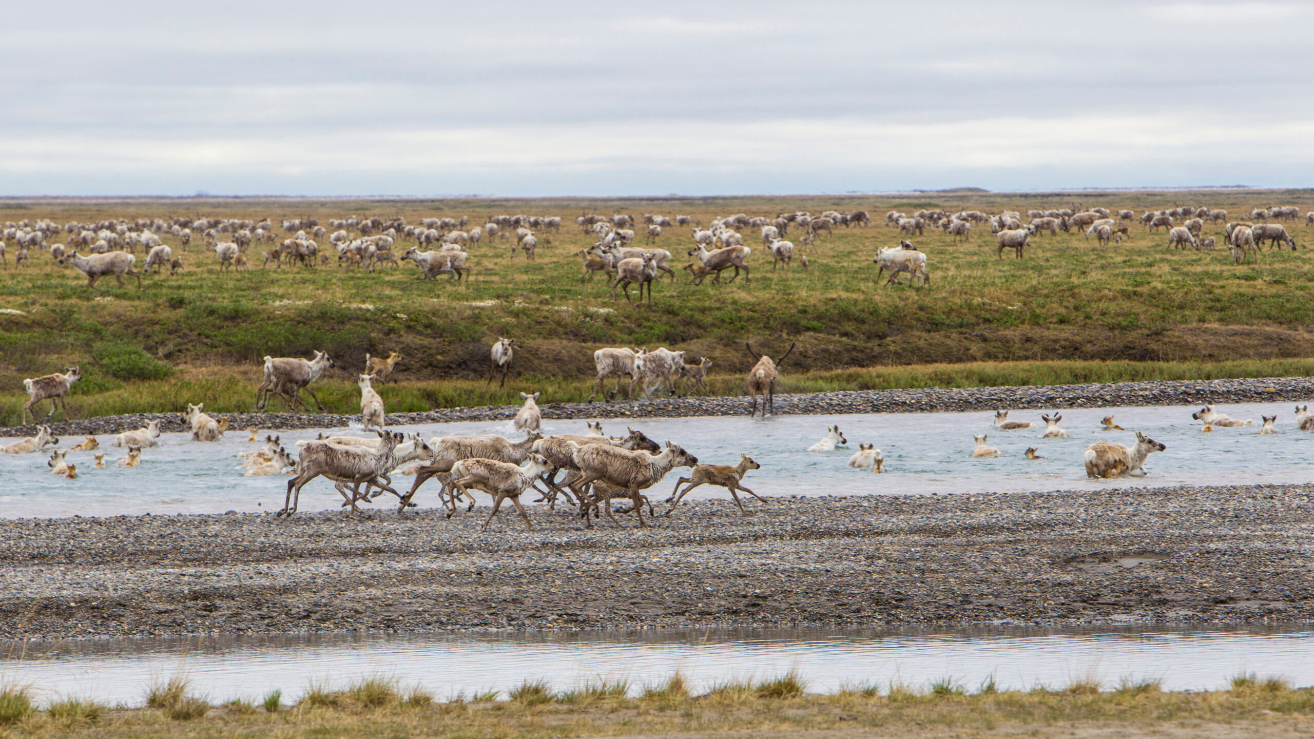 Alaska Arctic Refuge Lease Sale Draws $3.7 Million for Five Oil and Gas ...