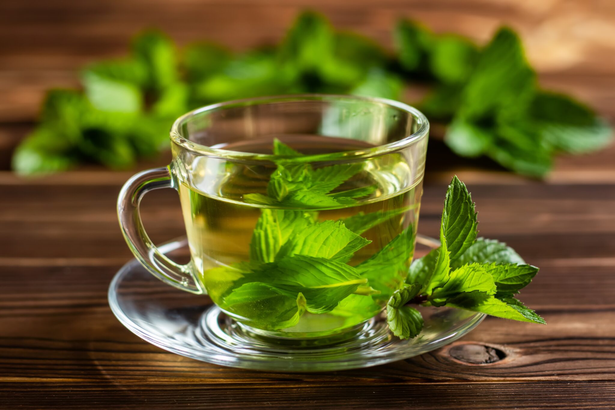 Peppermint Tea Shows Memory Benefits In Small Placebo-Controlled Trial ...