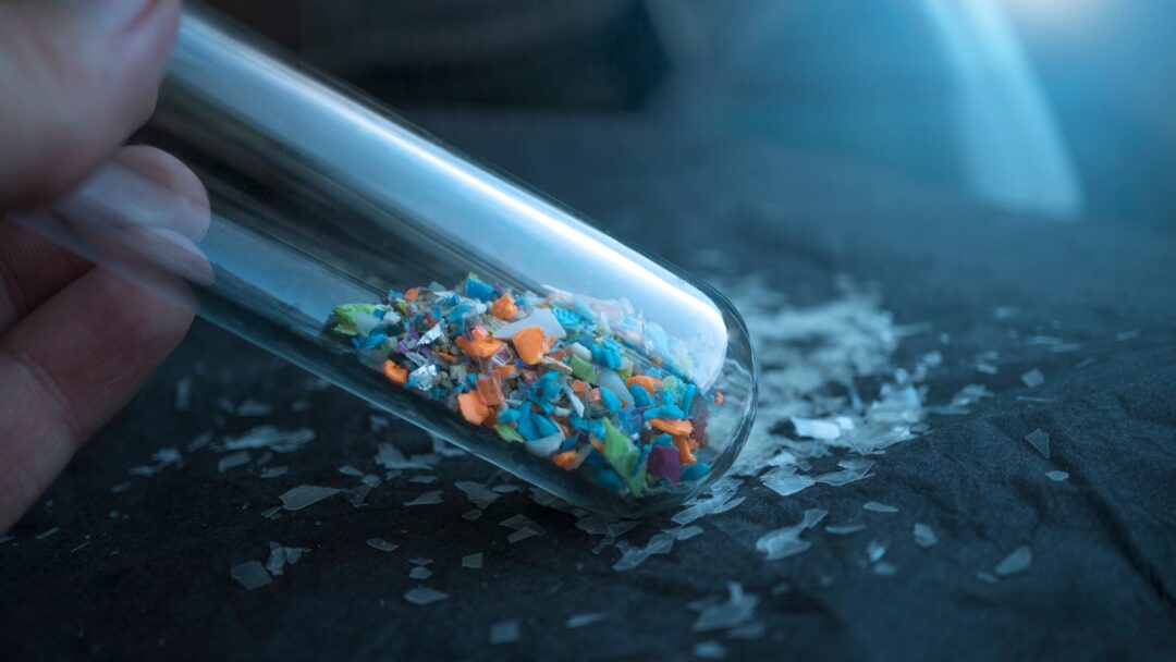 Study Finds Microplastics in Human Bile, Raising Questions About ...