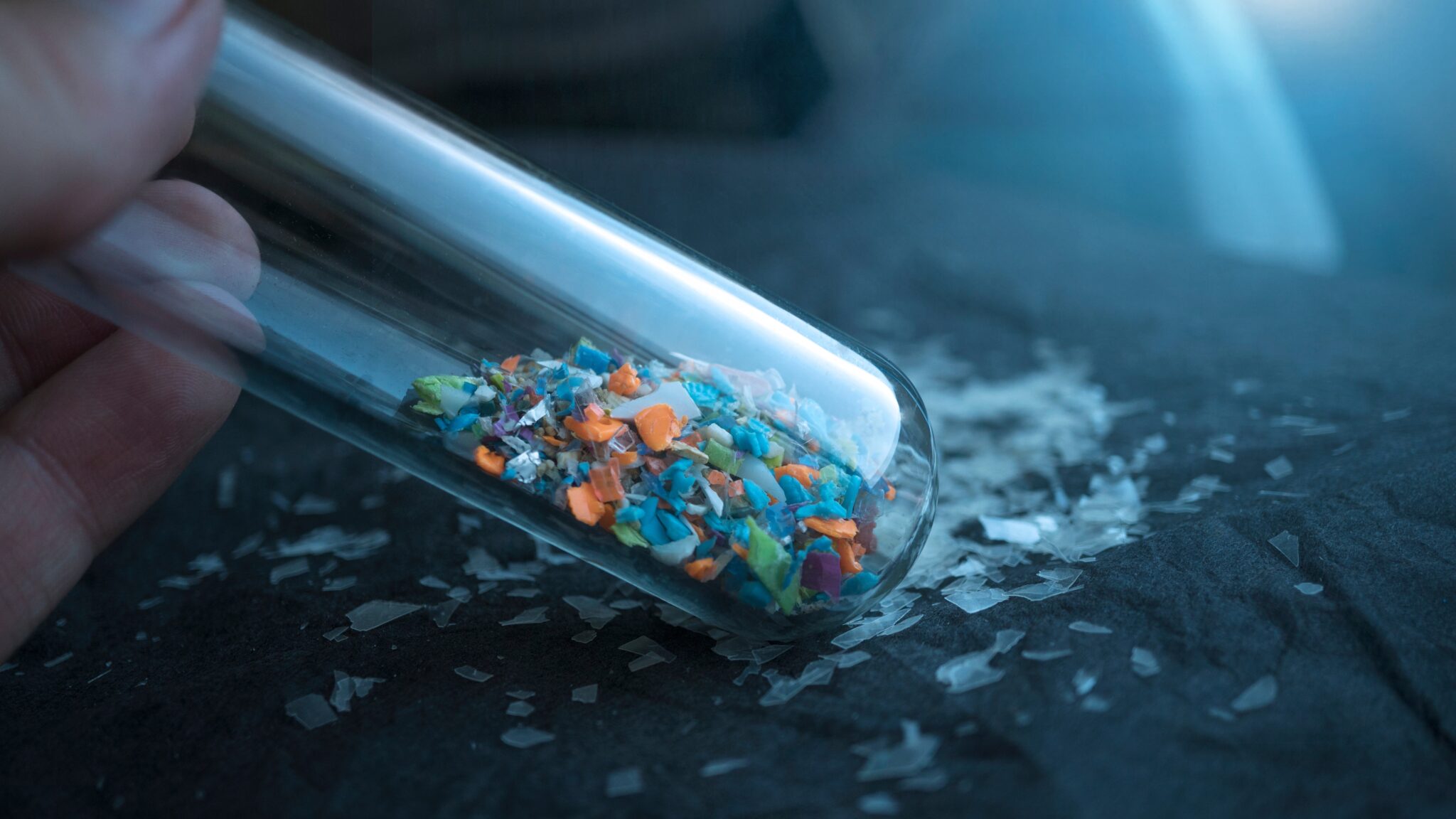 Study Finds Microplastics in Human Bile, Raising Questions About ...